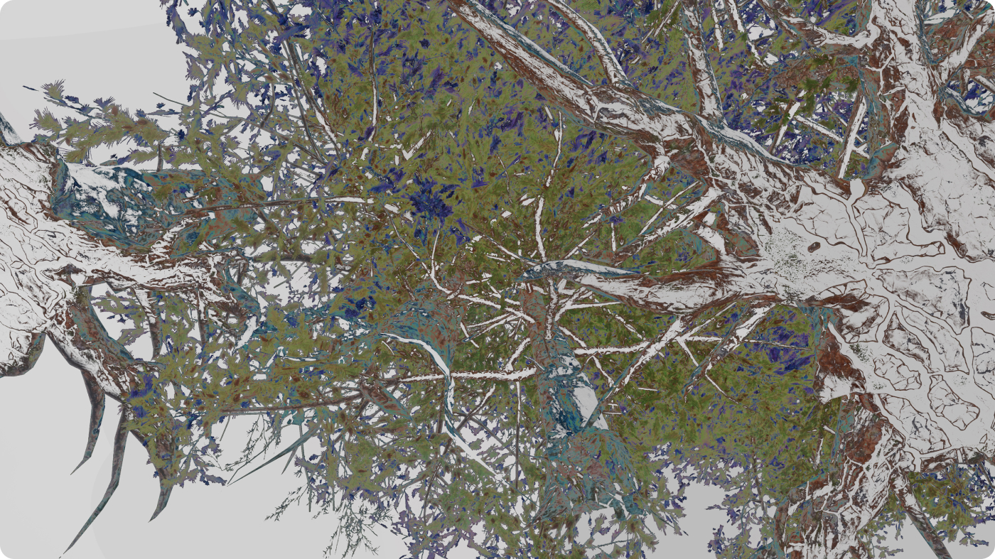 Complex — Coupling Ecosystems